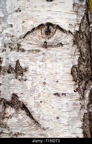 Tree very similar to a human face with eyes Stock Photo - Alamy