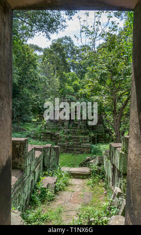 Stone ruins in the forest invaded by vegetation Stock Photo - Alamy