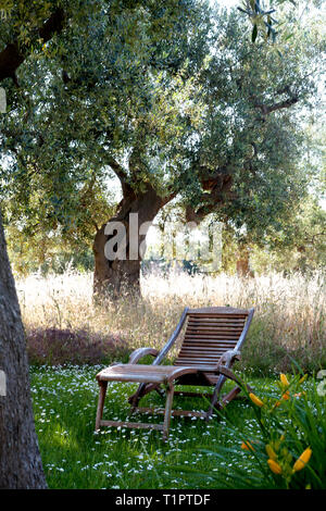 Beautiful view of Apulian countryside in the summer. Puglia, Italy ...