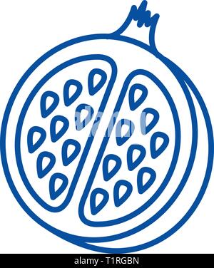 cut whole pomegranate line icon vector illustration Stock Vector Image ...