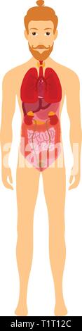 Human body internal organs schema flat infographic poster with icons ...