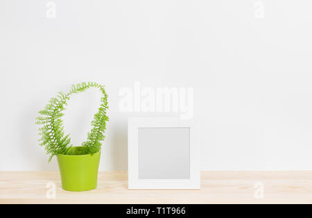 Square frame Beautiful indoor potted orchid with delicate white flowers ...