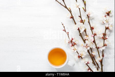 Cup of tea and spring flowers (blooms of an Apricot) on a light pink ...