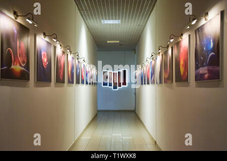 Krasnodar, Russia - January 13, 2019: model of a monster with a shark ...