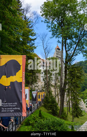 top of the bran castle ( Dracula s castel) in Brasov, Transylvania ...