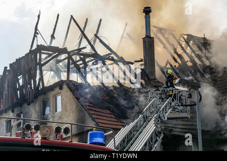 29 March 2019, Baden-Wuerttemberg, Stuttgart: A man drives on the ...