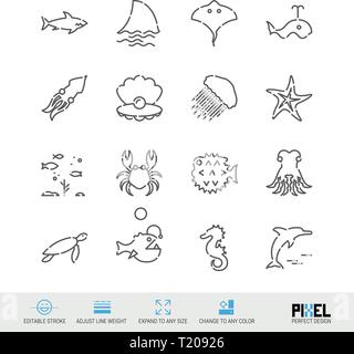 Marine animals set linear symbol icon. Octopus and turtle, fish and ...