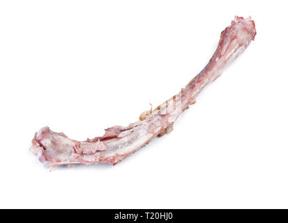 Single bone with flesh isolated on white Stock Photo - Alamy