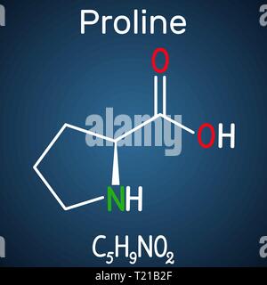 Proline (l-proline, Pro) amino acid molecule. Skeletal formula Stock ...