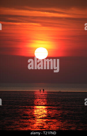 Heacham, UK. 28th Mar, 2019. A dog at low tide just before sunset after ...