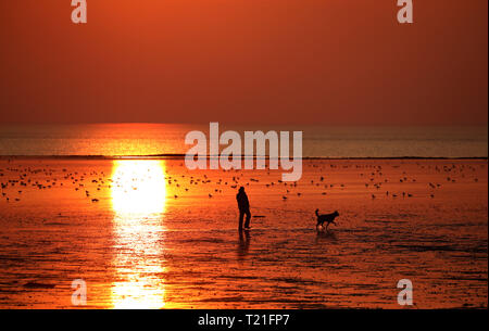 Heacham, UK. 28th Mar, 2019. A detectorist at low tide just before ...