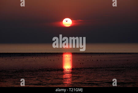 Heacham, UK. 29th Mar, 2019. Birds are silhouetted against a beautiful ...