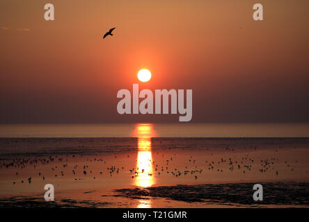 Heacham, UK. 29th Mar, 2019. Birds are silhouetted against a beautiful ...