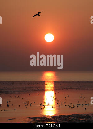 Heacham, UK. 29th Mar, 2019. Birds are silhouetted against a beautiful ...
