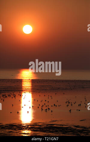 Heacham, UK. 29th Mar, 2019. Birds are silhouetted against a beautiful ...