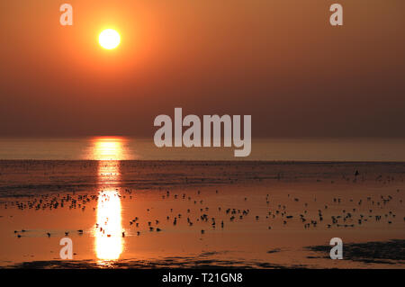 Heacham, UK. 29th Mar, 2019. Birds are silhouetted against a beautiful ...