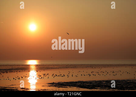 Heacham, UK. 29th Mar, 2019. Birds are silhouetted against a beautiful ...