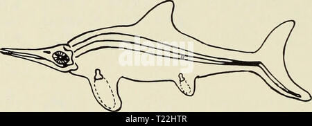 . Differential growth in three ichthyosaurs : Ichthyosaurus communis, I ...