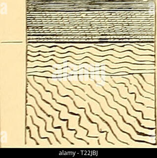 . Atlanto^aurus Beds Baptanodon Beds. Hallopus Beds. 'arboniferous Coal ...