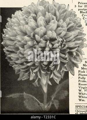 Our new guide to rose culture, West Grove, Pa, The Dingee & Conard Co ...