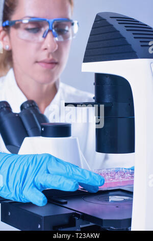 Life science research Stock Photo - Alamy