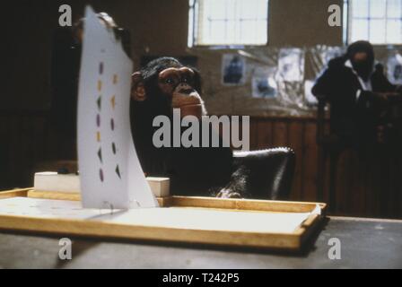 Link (1986) Jed the Chimpanzee, Date: 1986 Stock Photo - Alamy
