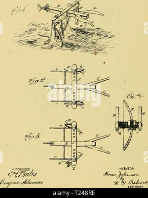 . CLAOSAURUS ANNECTENS. Cretaceous Stock Photo - Alamy