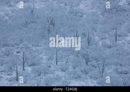 Redington Pass, Pima County, Arizona, USA Stock Photo - Alamy