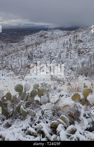 Redington Pass, Pima County, Arizona, USA Stock Photo - Alamy