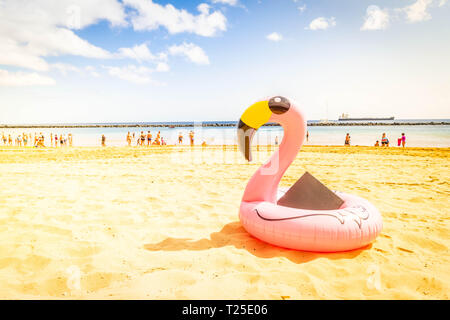 Inflatable pink flamingo in a swimming pool in a sunny day Stock Photo ...