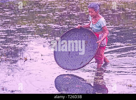 Tribal fishermen catch fish with fishing nets in the creek. Tribals ...
