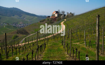 Beautiful village of Durbach with its castle Staufenberg in the black ...