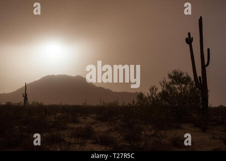 Sacaton Mountains, Pinal County, Arizona, USA Stock Photo - Alamy