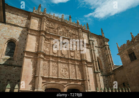 Frog on the skull carved into the stone facade of the University ...