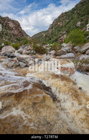Tanque Verde, Pima County, Arizona, USA Stock Photo - Alamy