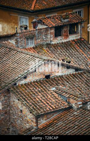 Lucca roof viewed from above in Italy Stock Photo - Alamy