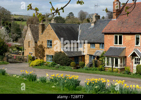 Ilmington village in spring with daffodils, Warwickshire, England, UK ...