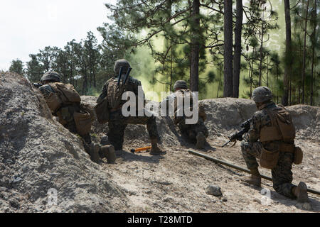 Marines with 2nd Combat Engineer Battalion set up an explosive charge ...