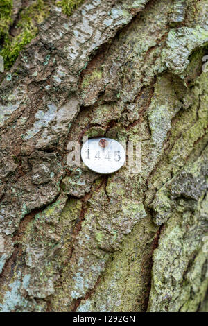 Tree identification number tag Stock Photo - Alamy