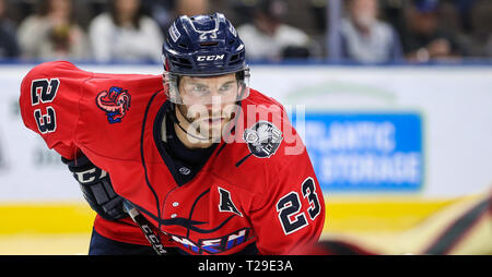 Jacksonville Icemen forward Cameron Critchlow (23), left, congratulates ...
