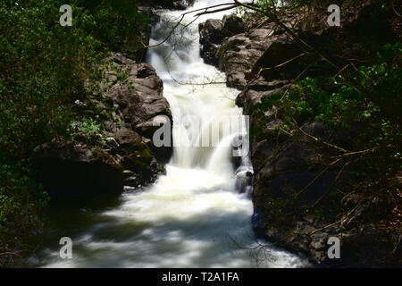 Waterfalls on Cumbum -Thekkady road in Tamilnadu Stock Photo - Alamy