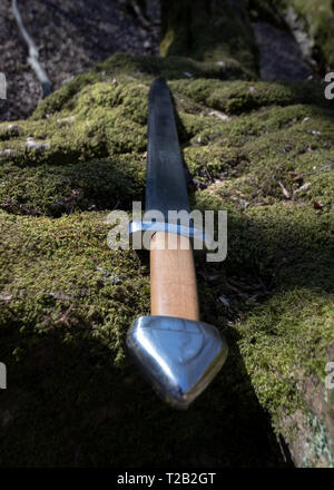 Sharp single edged Norwegian Viking sword sitting on mossy tree branch ...