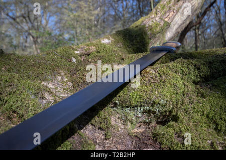 Sharp single edged Norwegian Viking sword sitting on mossy tree branch ...