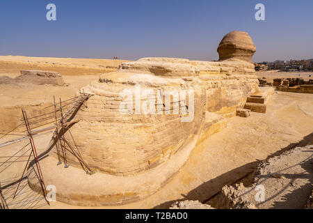 side view of the Sphinx at the Great Pyramids of Giza in Cairo Egypt ...