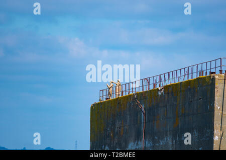 Mulberry Harbour Phoenix Units at Portland Stock Photo - Alamy