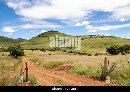 Smooth hill landscape with grass in africa Stock Photo - Alamy
