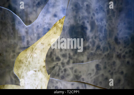 Broken shop window with color background Stock Photo - Alamy