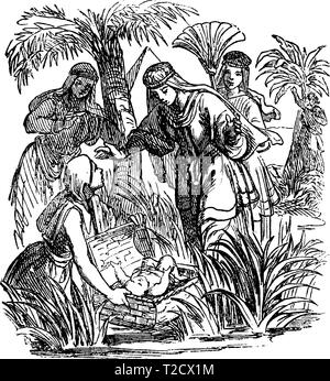 Moses Line Art Stock Vector Image & Art - Alamy