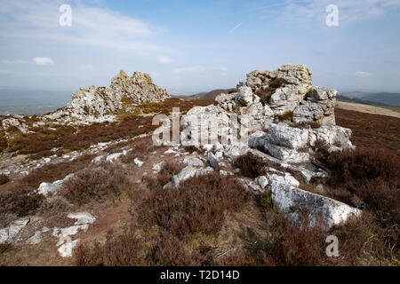 Rock formations at the famous Stiperstones, Shropshire, England, UK ...