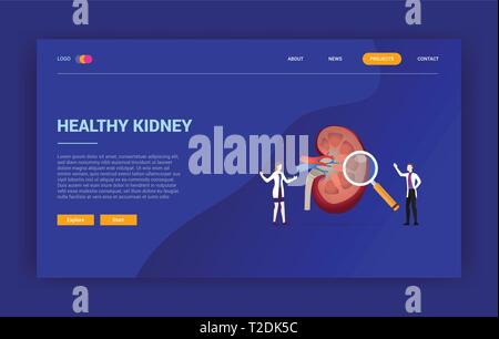 Kidney check up vector website landing page design template Stock ...